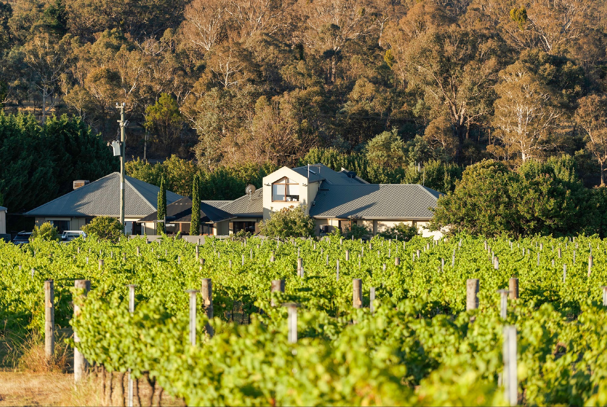 HTL Property - Hotels Tourism Leisure